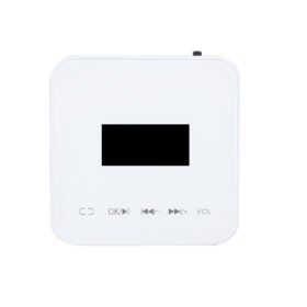 2/4-CH Bluetooth Wall Amplifier with LCD Display – audiotechgroup.com