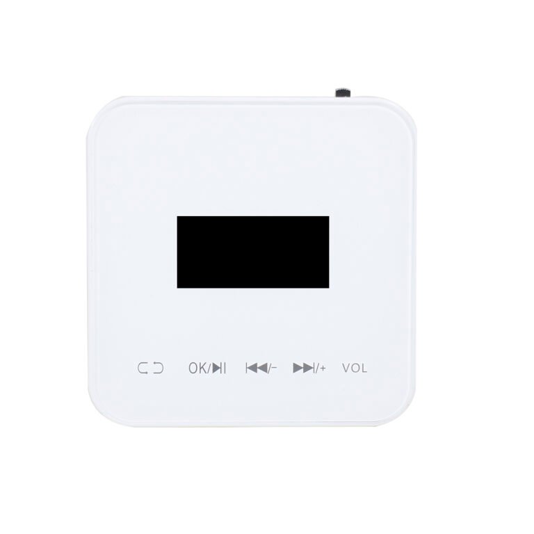 2/4-CH Bluetooth Wall Amplifier with LCD Display – audiotechgroup.com