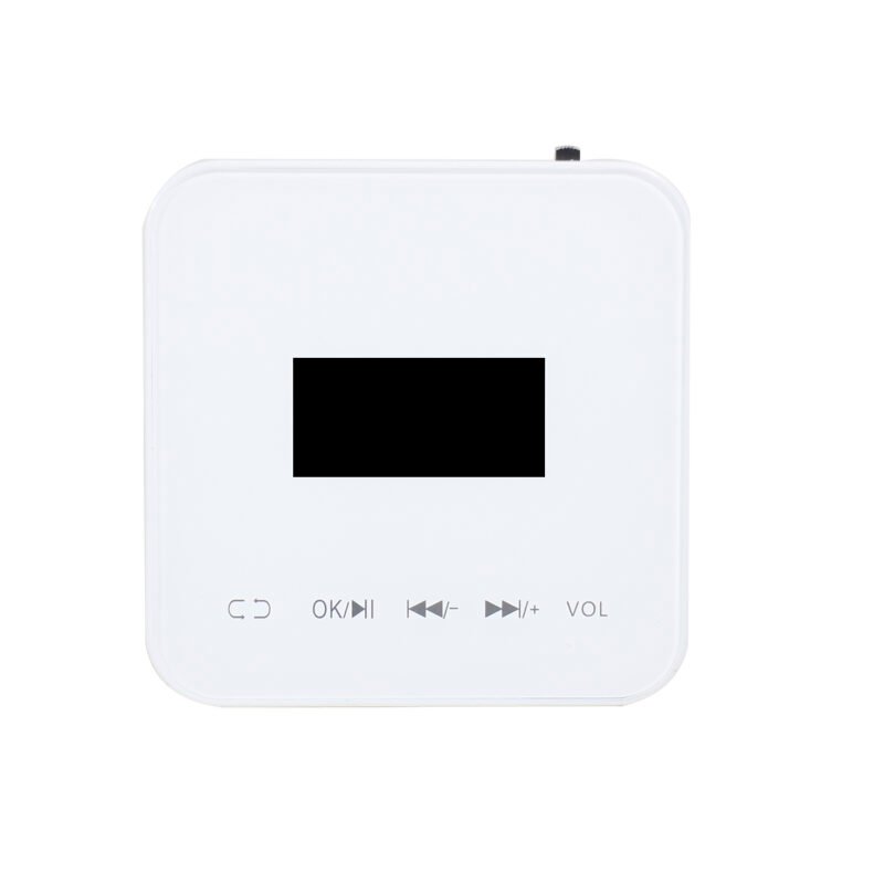 2/4-CH Bluetooth Wall Amplifier with LCD Display – audiotechgroup.com